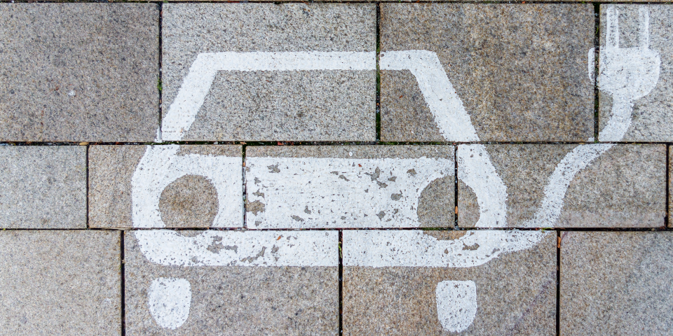 Insights - Transtrend