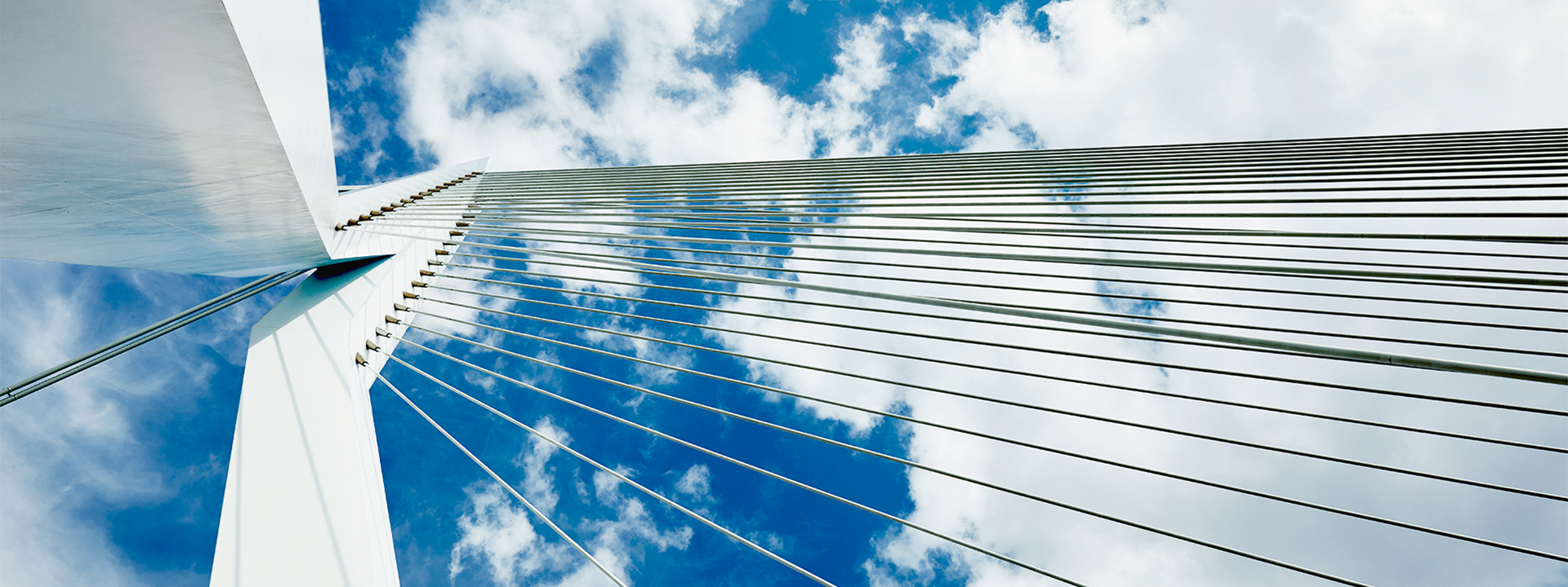 More than 25 years - Transtrend